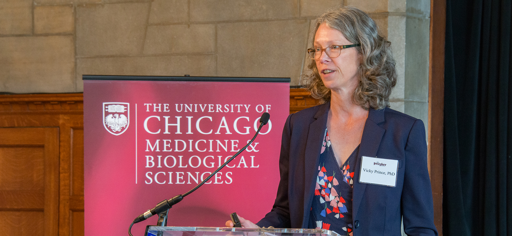 Dean shares 2019 goals for the BSD - University of Chicago Medical and ...