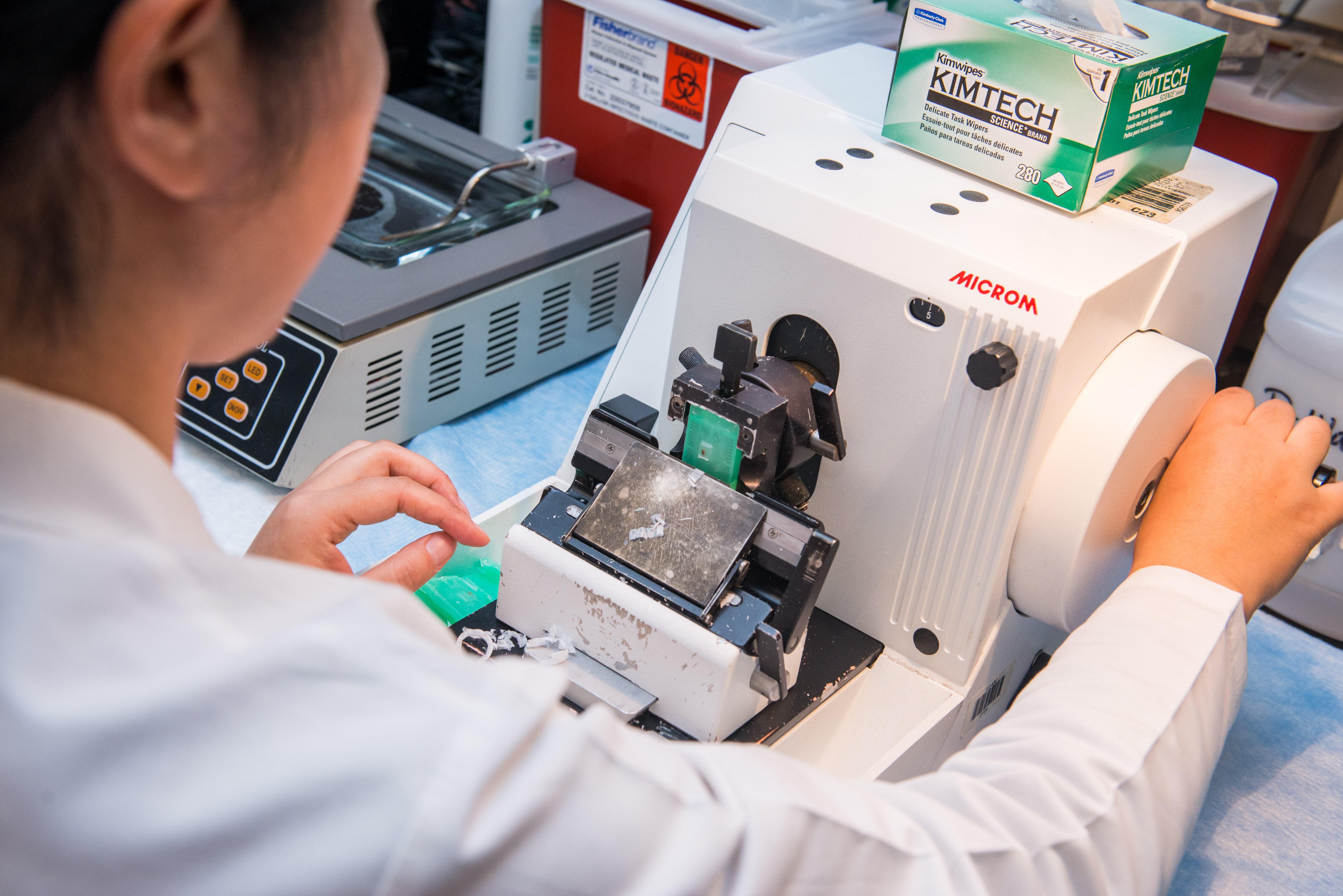 The University of Chicago Campaign: Inquiry and Impact - University of ...